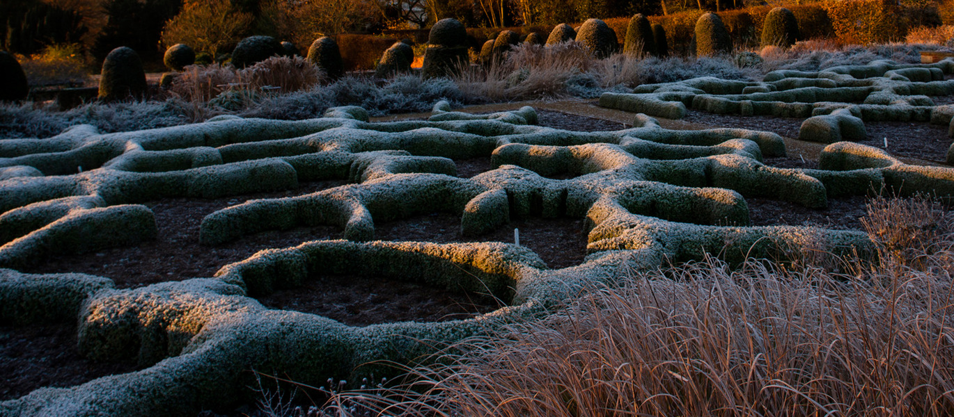 Home | Tom Stuart-Smith